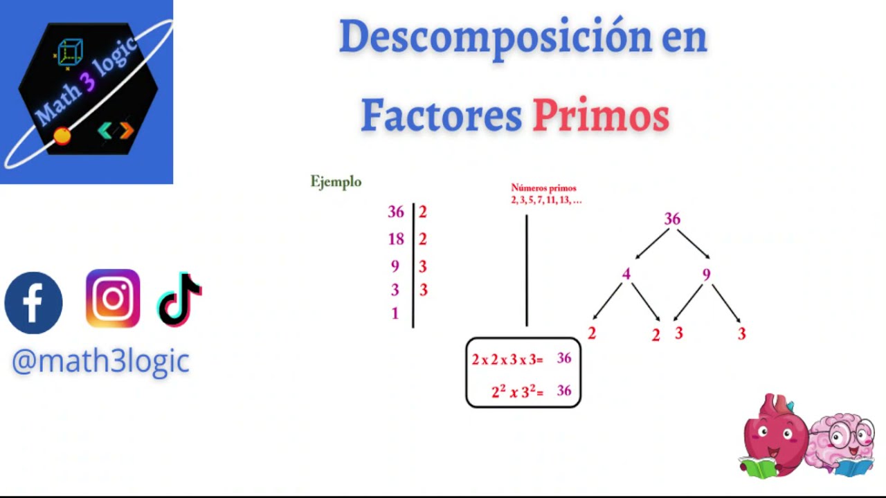 ⭐Factores primos - Con ejercicios interactivos. - YouTube