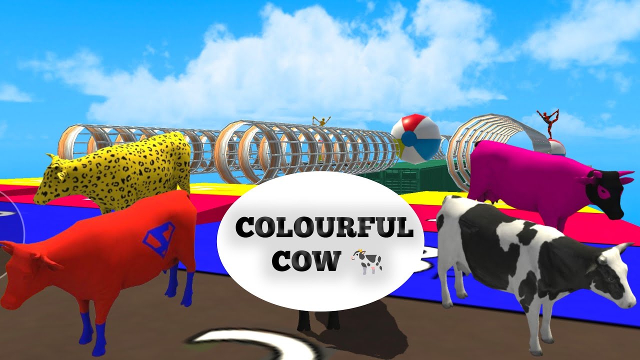 cow racing || cow videos | animal cartoons for kids | cow cartoon ...