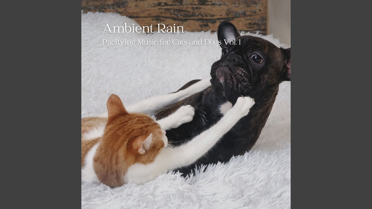 Spring Storms - YouTube