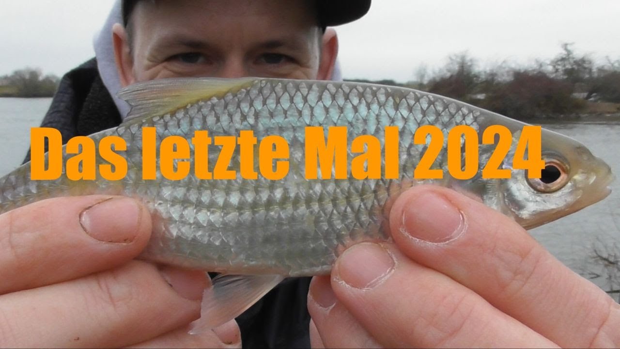 Das letzte Mal 2024 / Feedern am Fluss - YouTube