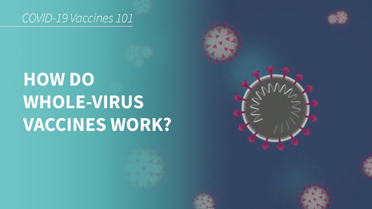 COVID-19 Vaccines 101: How do Whole-Virus Vaccines work - YouTube