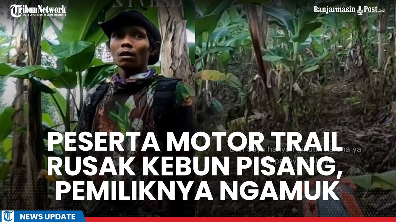 Peserta Motor Trail Rusak Kebun Pisang Warga, Pemilik Langsung Minta ...