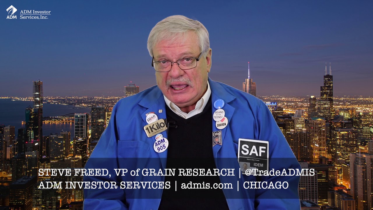 Jan 2 Grain Calls Steady Market Outlook by Steve Freed - YouTube