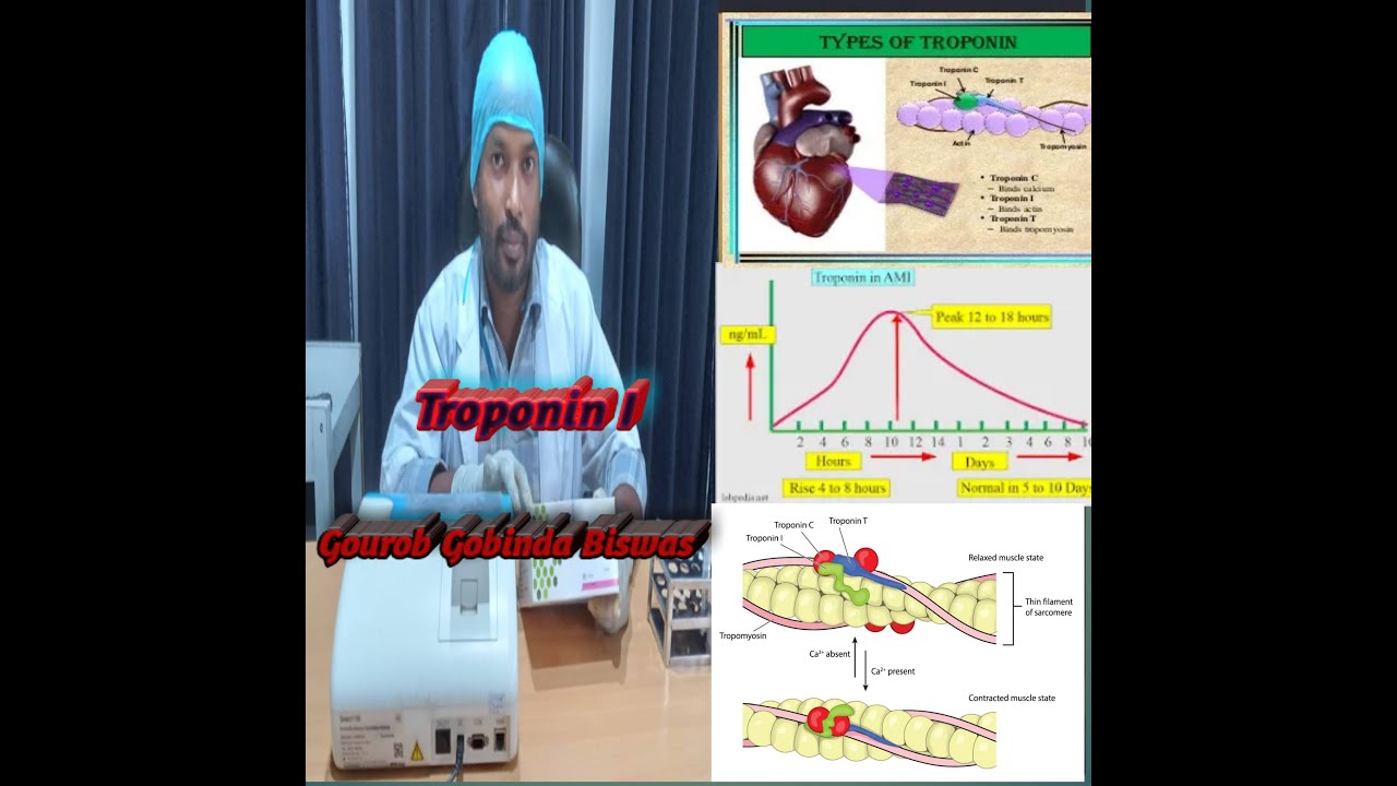 Troponin I Test. Troponin test for heart attack. What is this Cardiac ...