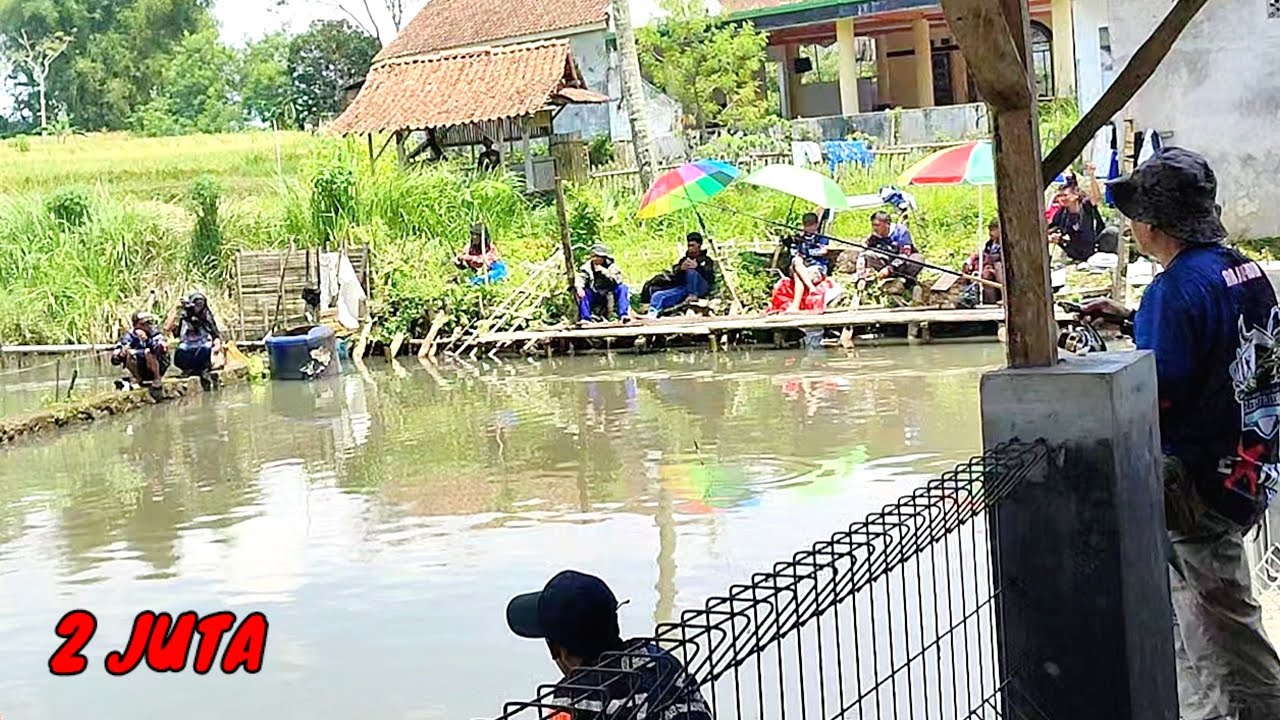 Mancing Borongan Ikan Bawal Babon‼️Bareng Anglers Garut - YouTube