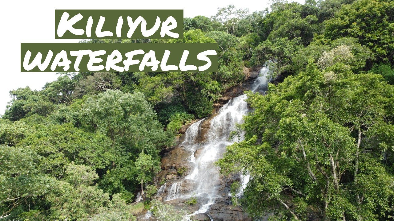 Kiliyur water falls Amazing water falls at Yercaud hill station ...