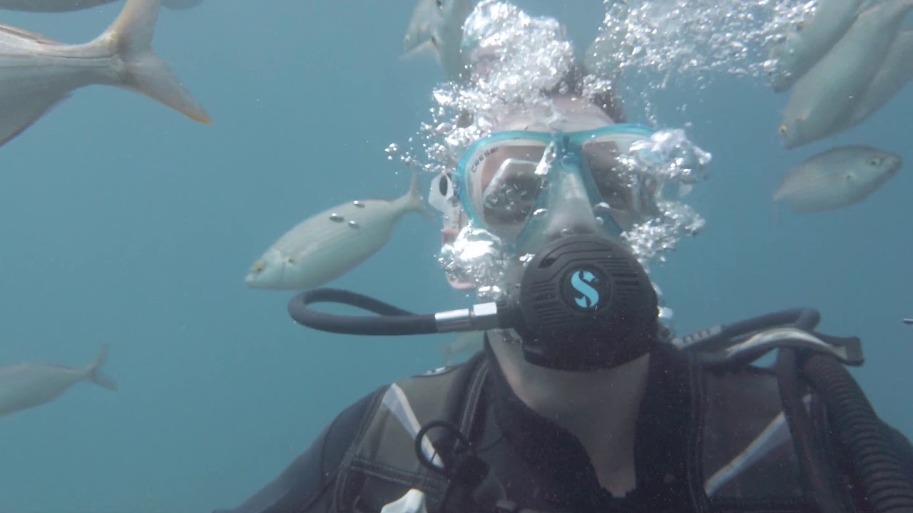 Diving Canary Islands 2019 - YouTube