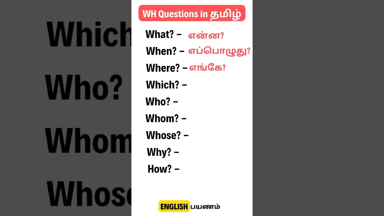Wh Questions Learn Tamil Through English Youtube
