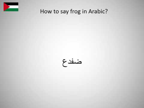 How to say frog in Arabic? - YouTube