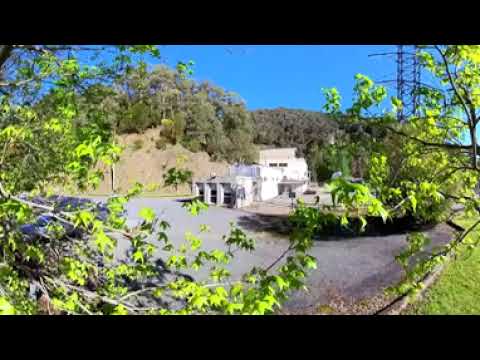 Tree 360 injected -  Spatial Media Metadata injector test