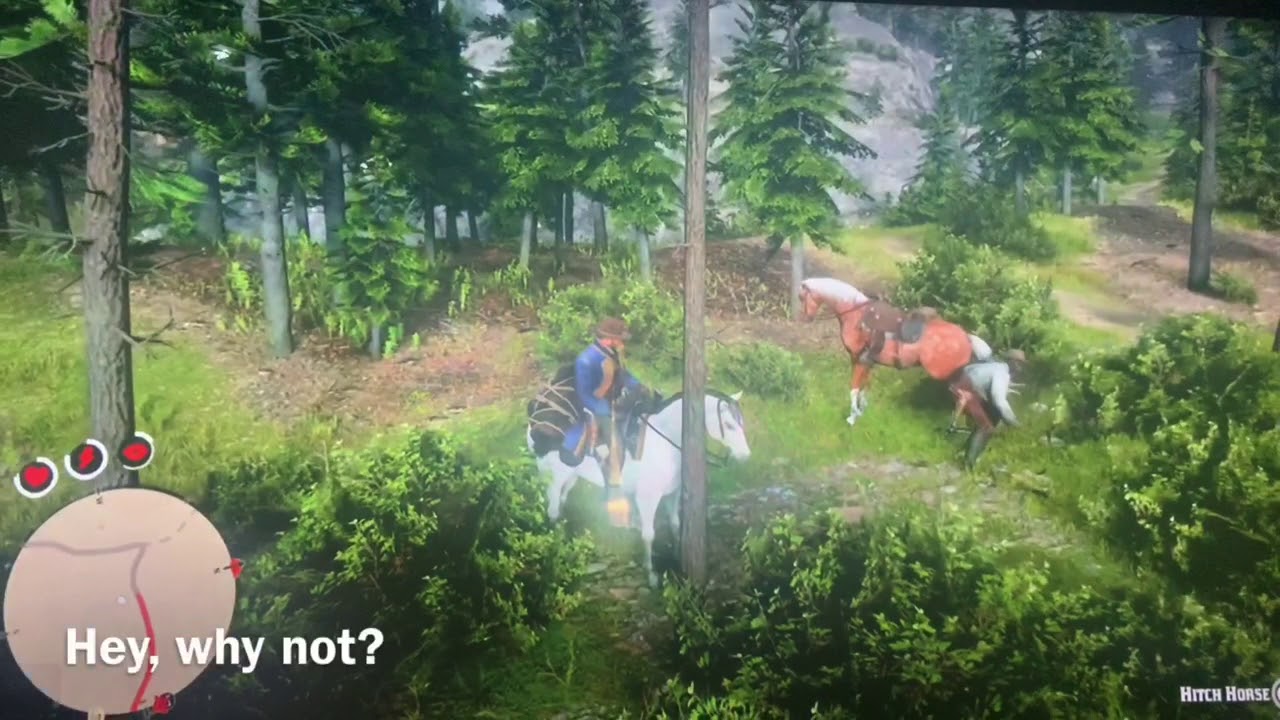 RDR2 Funny Moment (Read Description, NOW!!) - YouTube