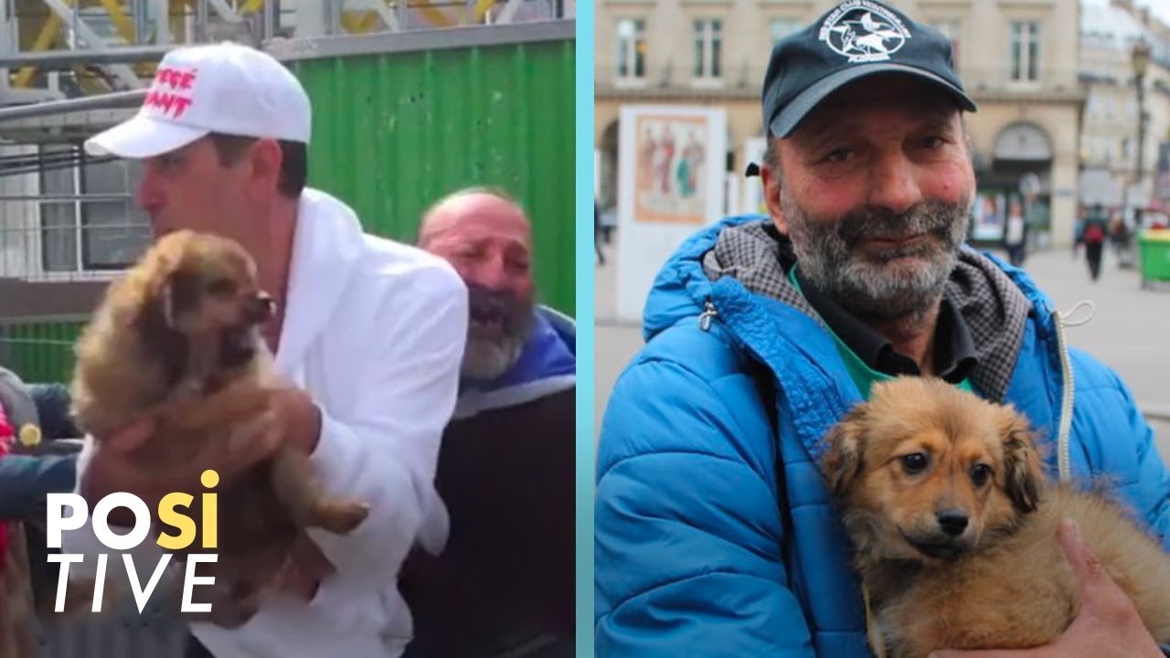 Animal activists steal a homeless man’s dog | Positive - YouTube
