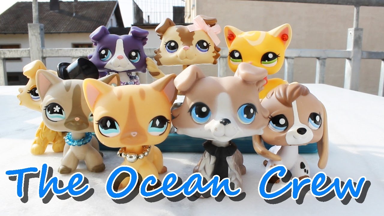 Littlest Pet Shop : The Ocean Crew (Introduction) [ENG] - YouTube