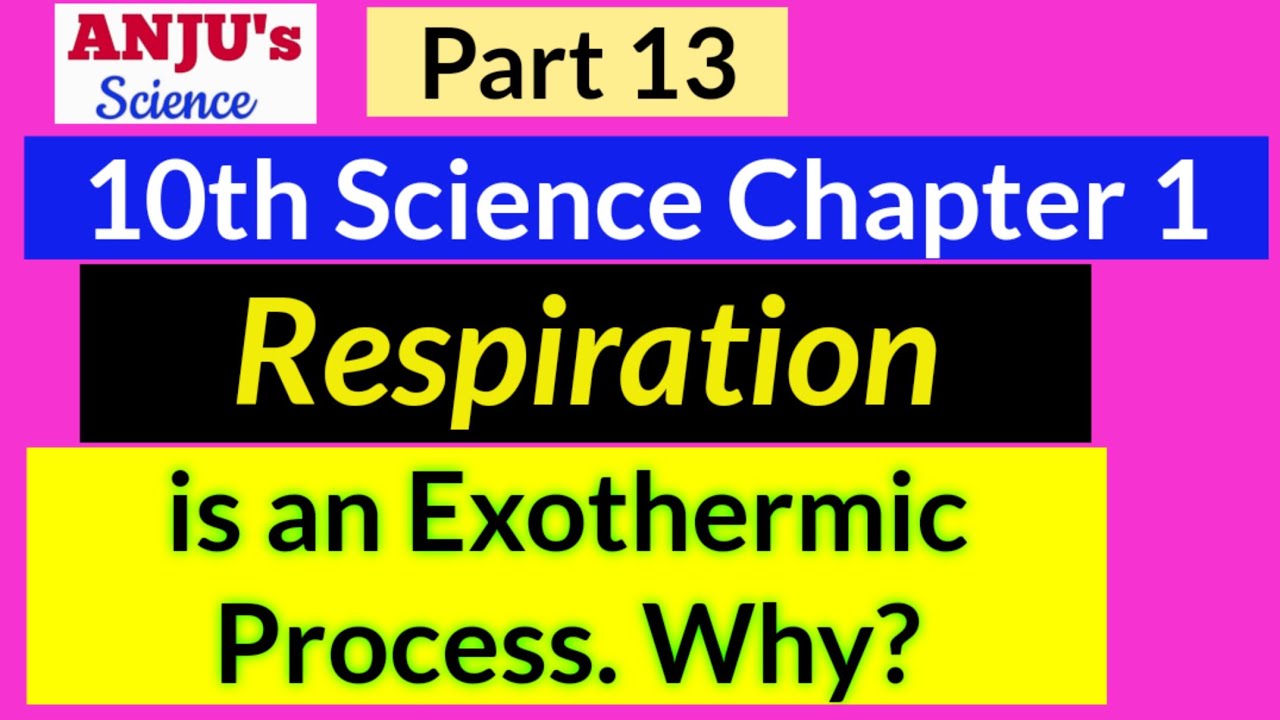 Respiration is an Exothermic Process Class 10 Chapter 1 Science #anjus ...