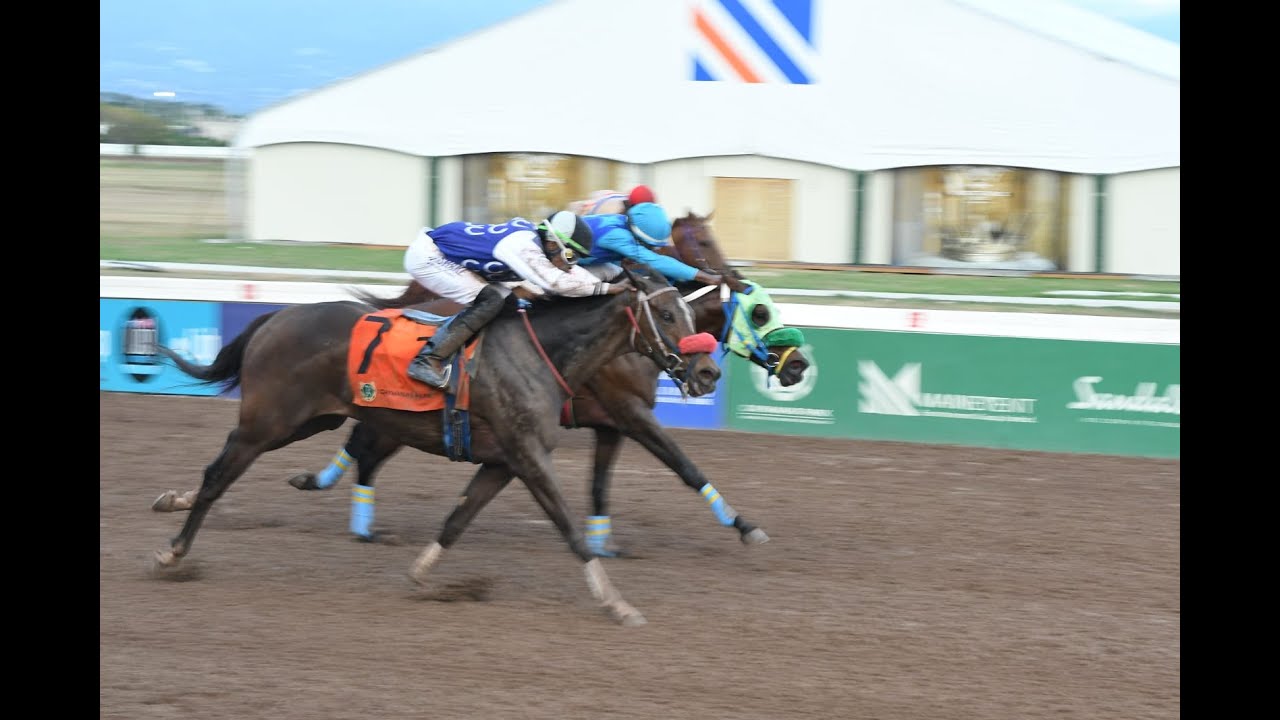 JAMAICA RACING: Salud Takes The Nightcap | Sat, Mar 2, 2024 - YouTube