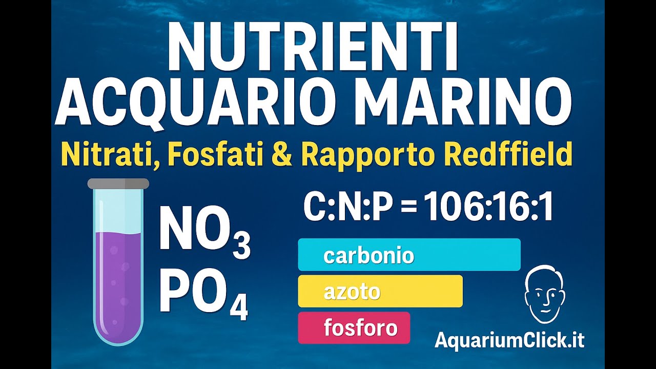 Nitrati, Fosfati e Rapporto Redfield: Verità e Miti in Acquario Marino ...