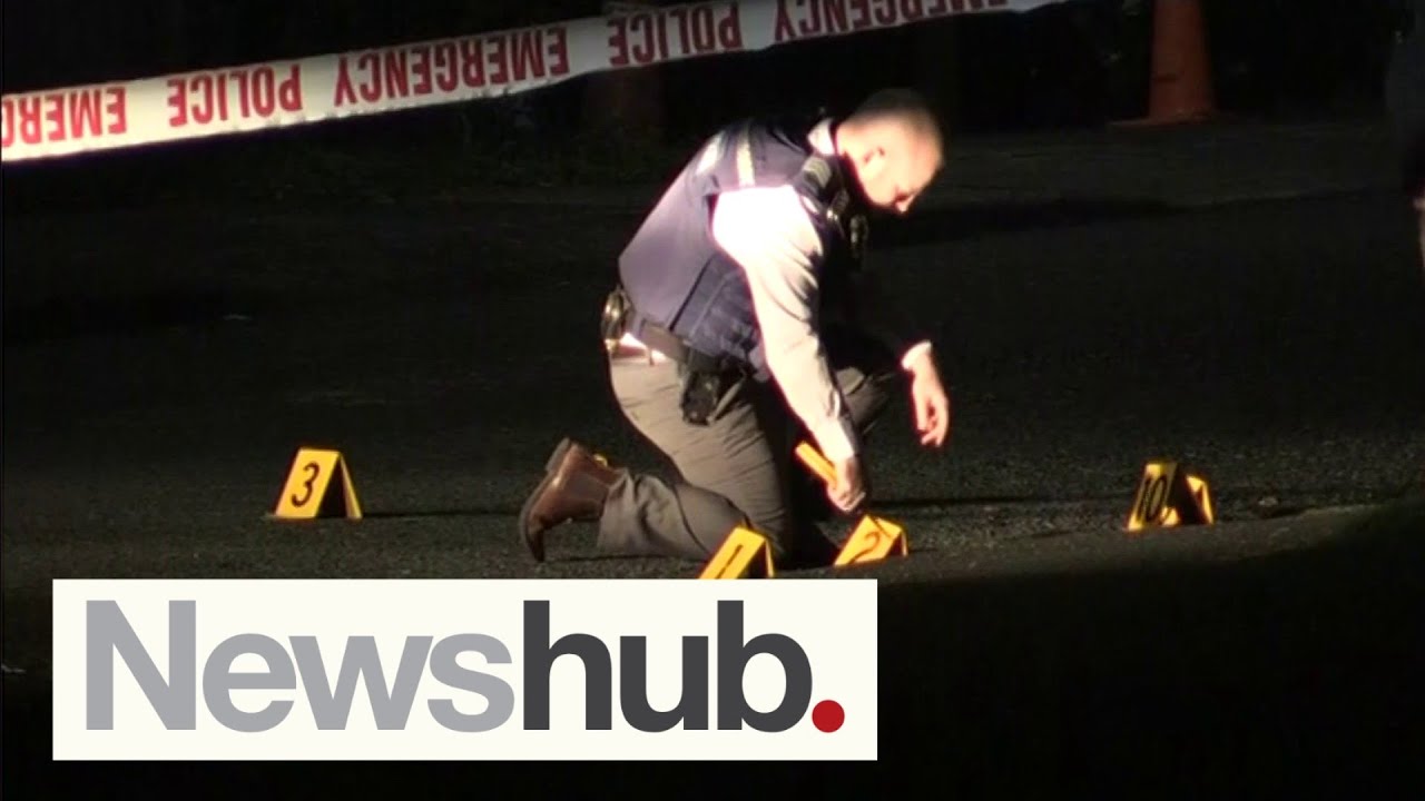 Killer Beez,Tribesmen turf war shootings down to 'gang recruitment ...