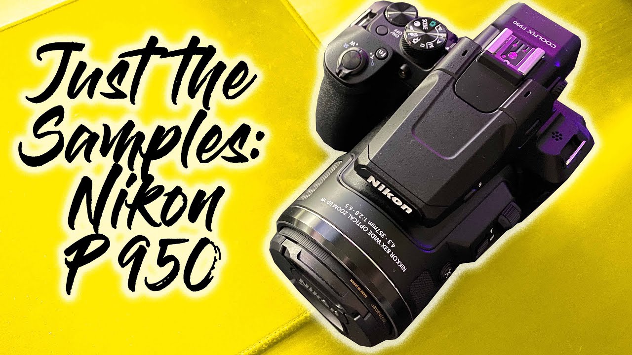 Just the Samples - Nikon P950 - YouTube