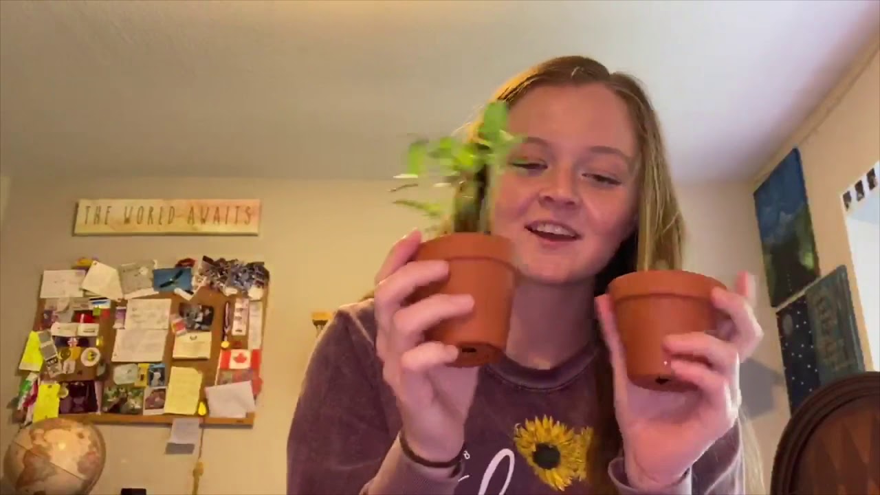 Isolation Information Episode 3! Calaveras High School Announcements 4 ...