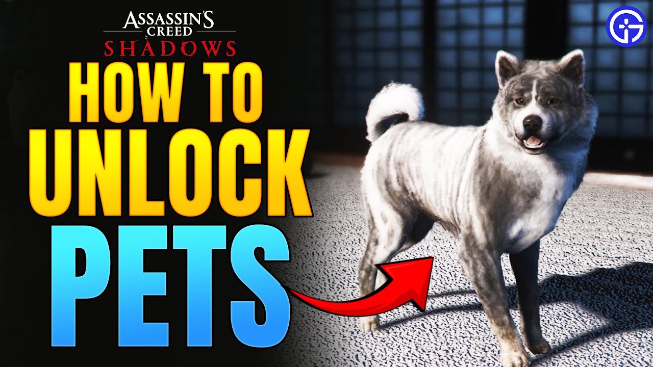 How to Unlock Pets in Assassin’s Creed Shadows (Quick Guide) - YouTube
