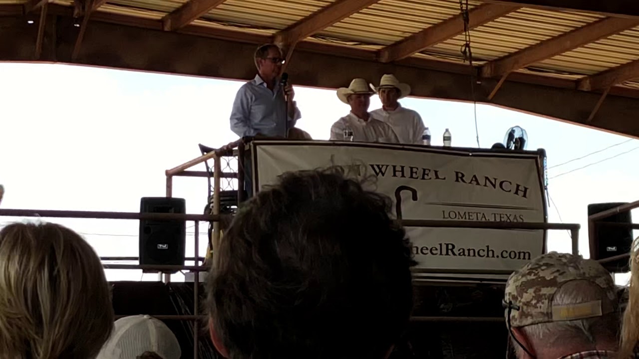 John Gist Opens Up the Wagon Wheel Dispersal Sale with a Challenge to ...