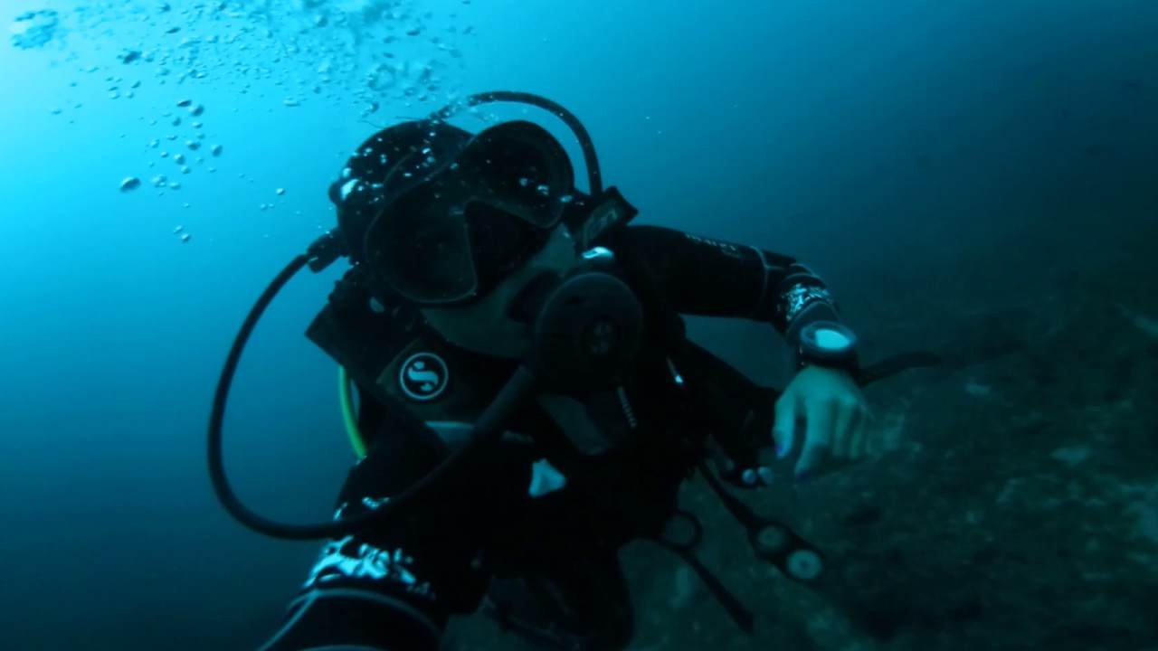 Diving with a manta, Tofo, Mozambique - YouTube