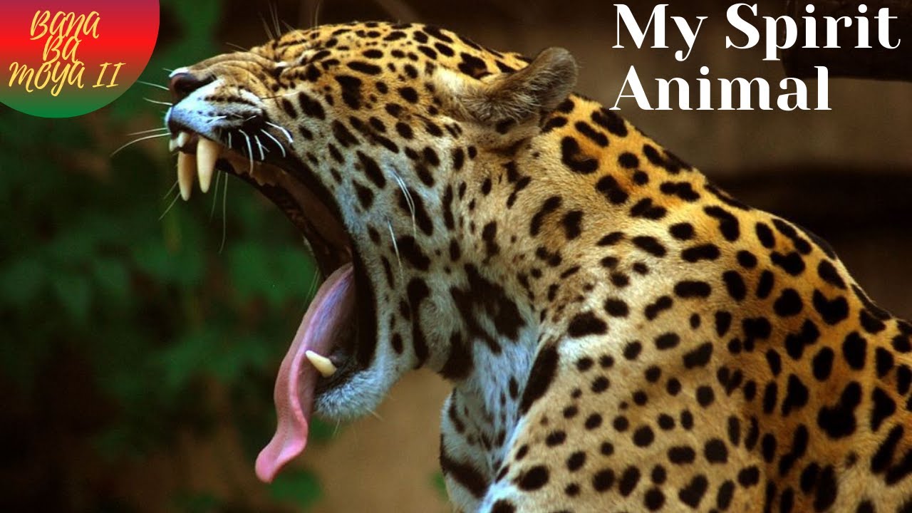 How Do You Discover Idlozi Lakho For They Come In A Spirt Form ( Snakes ...