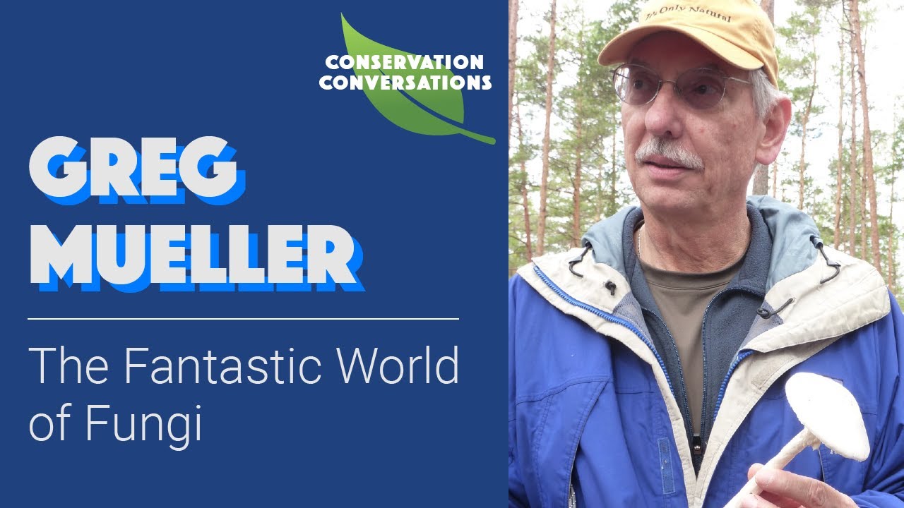 Greg Mueller: The Fantastic World of Fungi | Conservation Conversations ...