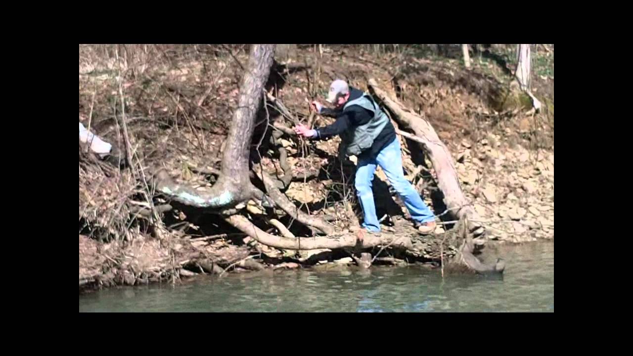 PA Trout Fishing Delayed Harvest 2012 - YouTube