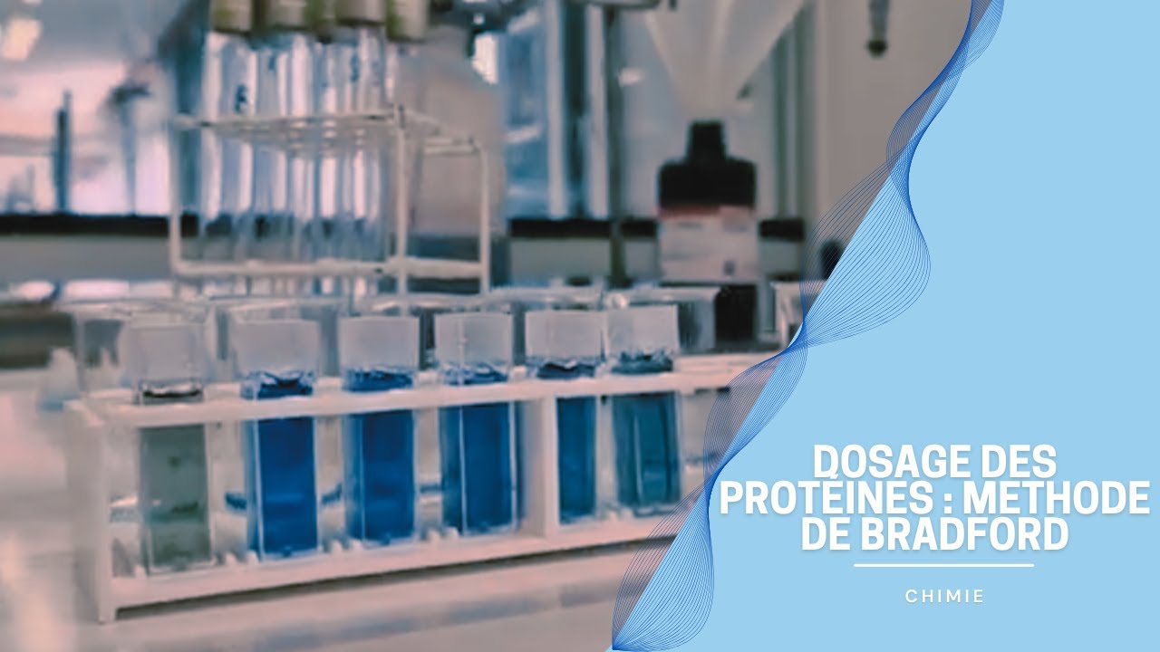 Dosage spectrophotométrique des protéines - méthode de Bradford - YouTube