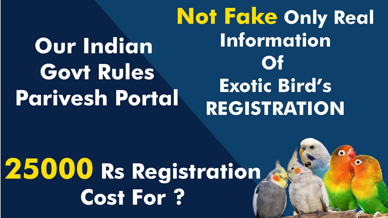 Not Fake , This Is Real Information Of Exotic Bird's Registration ...