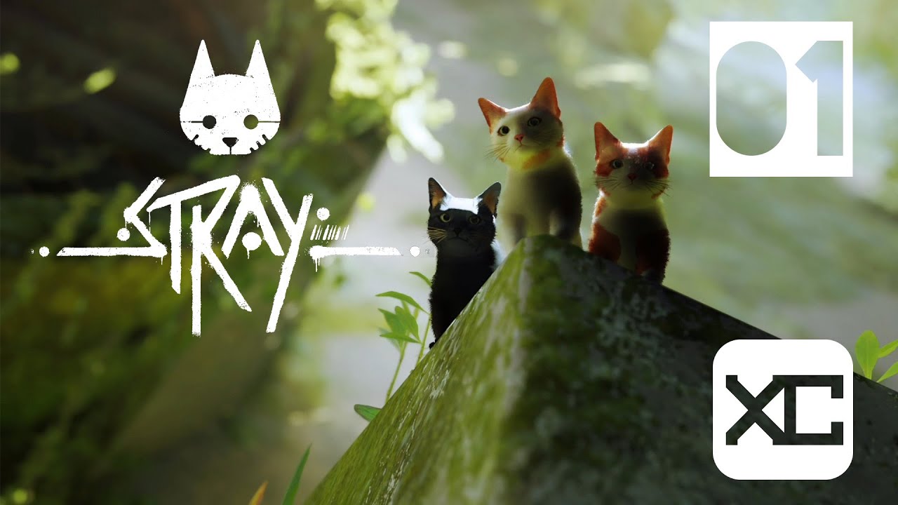 Stray #1 - 😺 Ein Streuner auf Abwegen - YouTube