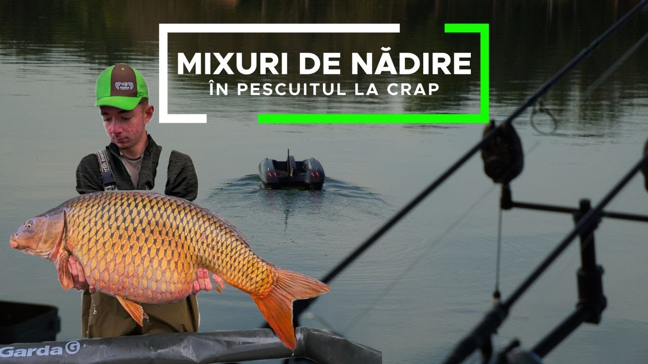 Mixuri de nădire în pescuitul la crap - YouTube