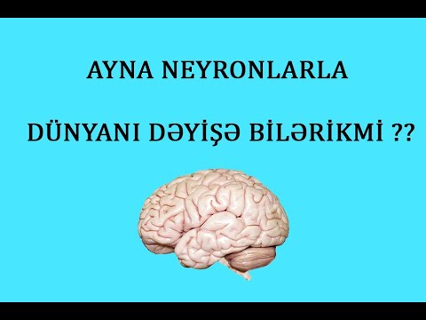 Dünyanı dəyişmək üçün özünü dəyiş və ya Ayna Neyronlar - Texno  Məkan