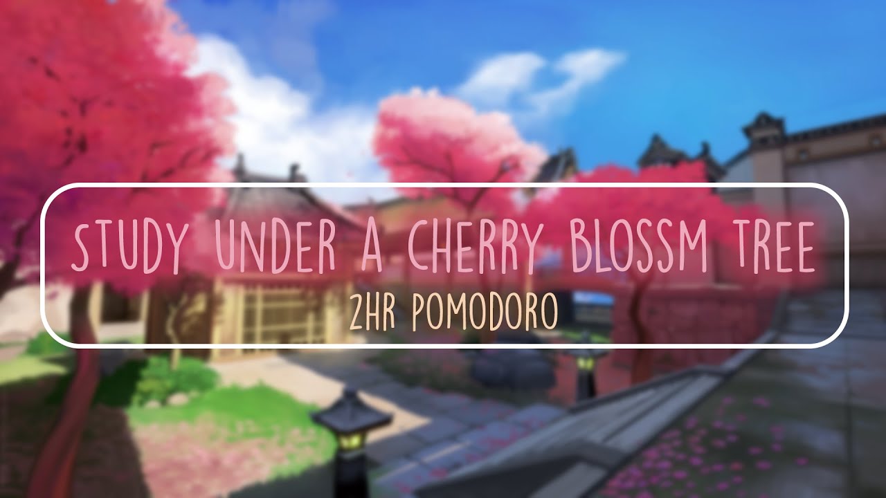 Study under a Cherry Blossom tree (2hr Pomodoro) - YouTube