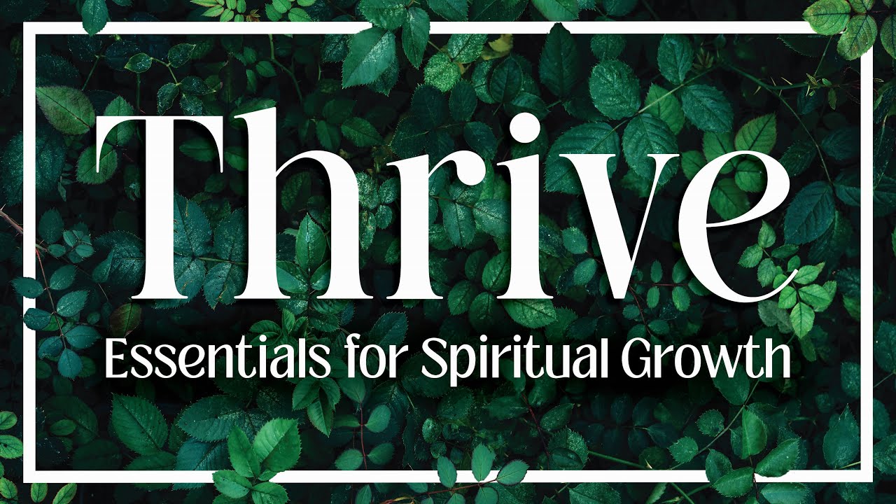 Embrace Your New Identity to Thrive - YouTube