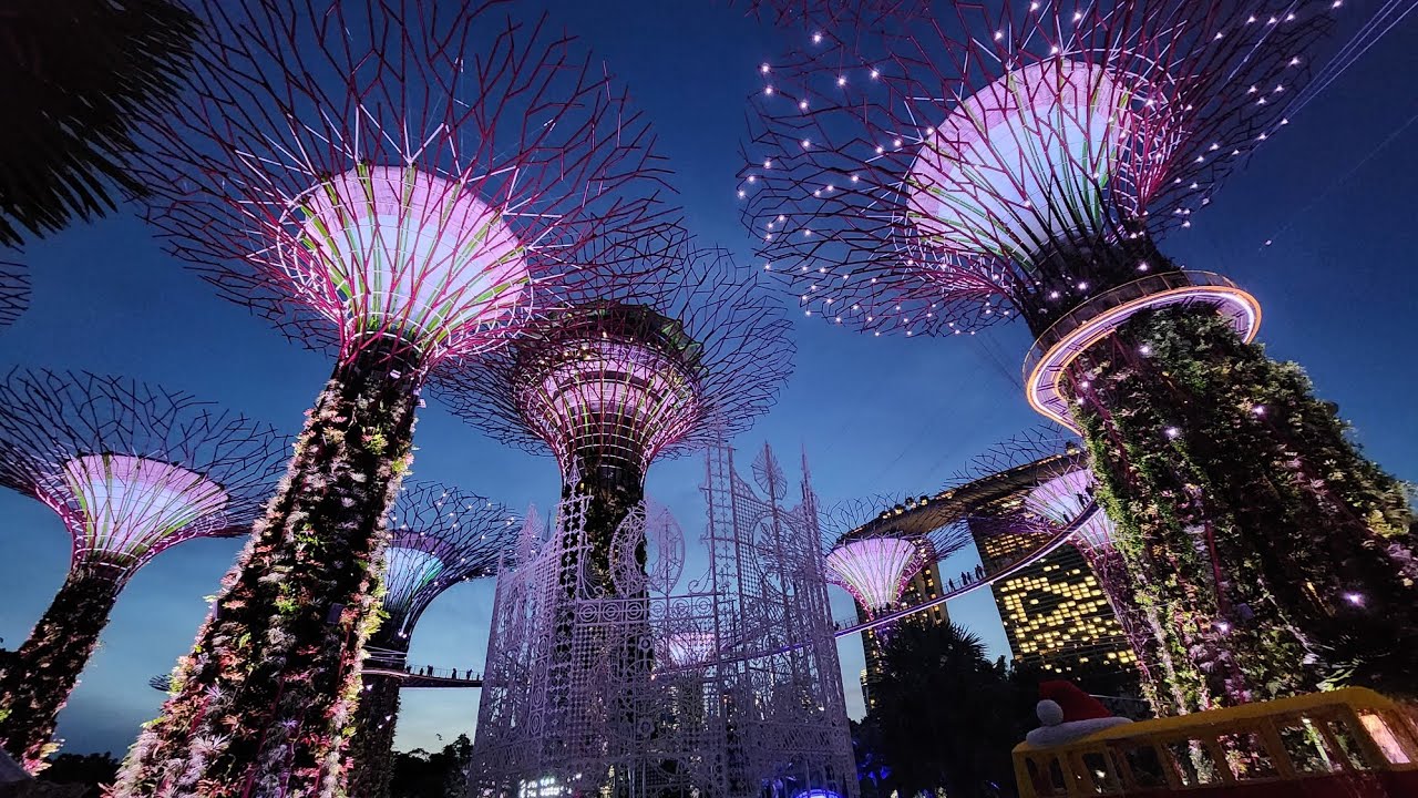 Super Tree Light Show 4K - Singapore, November 2022 - YouTube