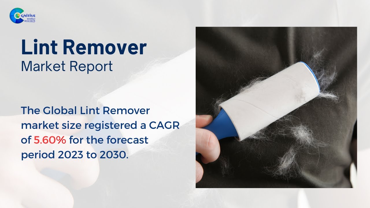 Lint Remover Market Report 2024 (Global Edition) - YouTube
