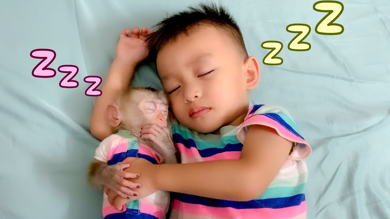 Monkey Puka sleeps soundly when baby Khang lulls him to sleep - YouTube