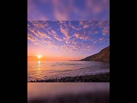 Cemal Süreya - Sevgilim ben şimdi büyük bir kentte seni düşünmekteyim