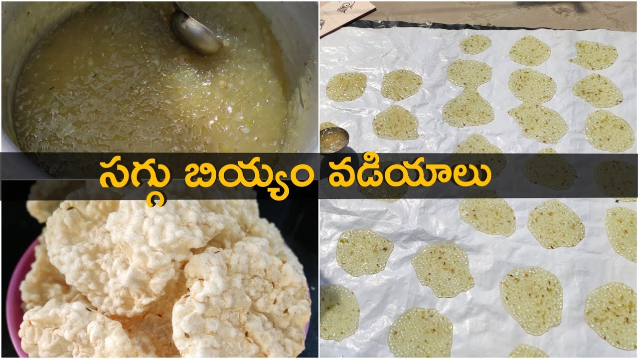 Saggu Biyyam Vadiyalu || Sabudana Papad Recipe సగ్గుబియ్యం తో సంవత్సరం ...
