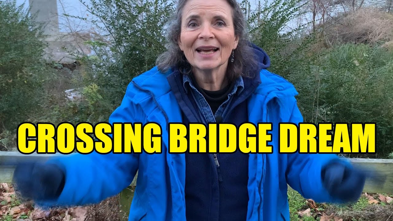 What Does It Mean To DREAM About CROSSING A BRIDGE Dream Of Driving what-does-it-mean-to-dream-about-crossing-a-bridge-dream-of-driving