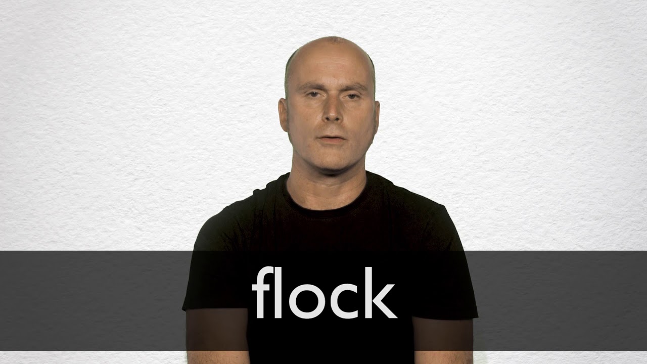 How To Pronounce FLOCK In British English YouTube how-to-pronounce-flock-in-british-english-youtube