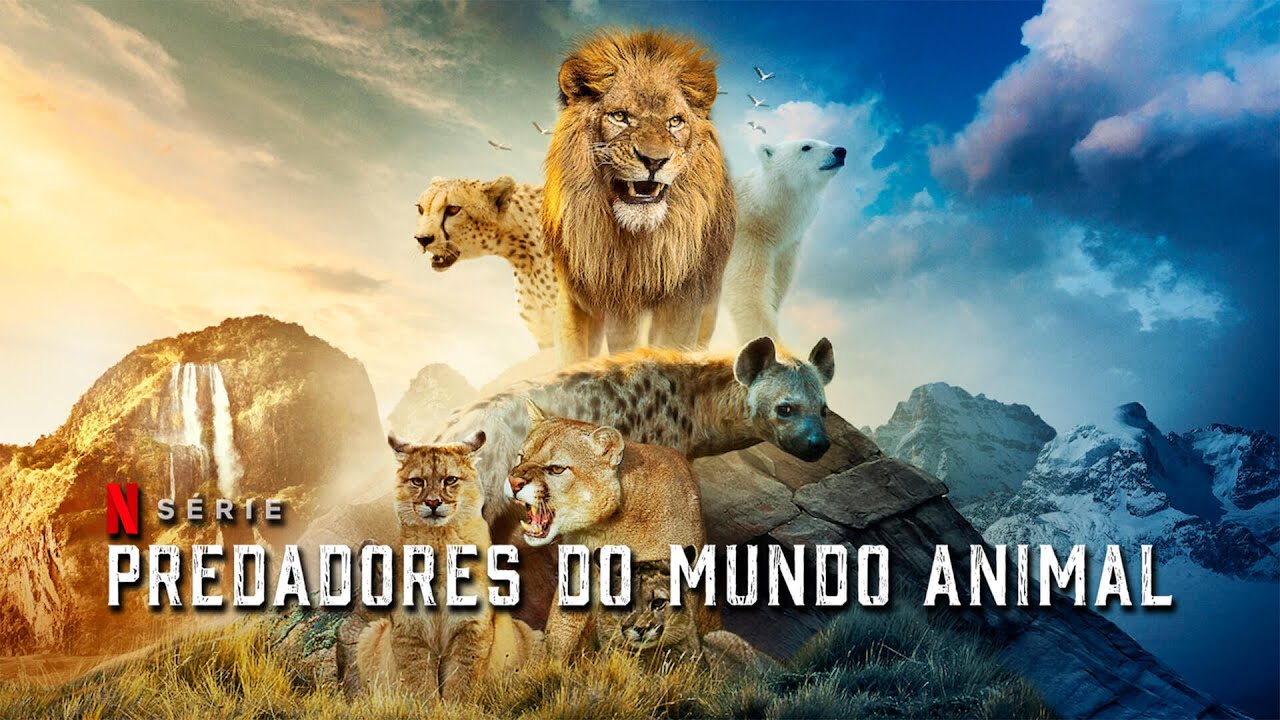 Predadores do Mundo Animal (2023) | Trailer Legendado | Netflix - YouTube