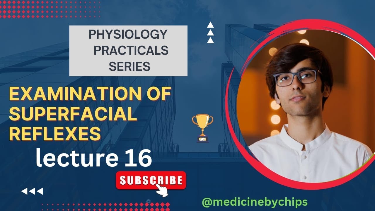Examination of Superficial Reflexes || 2nd year Physiology || Physio Practical Feature : Dr ...