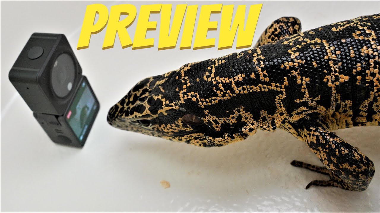 Preview of first live feeding with 2 cameras! - YouTube