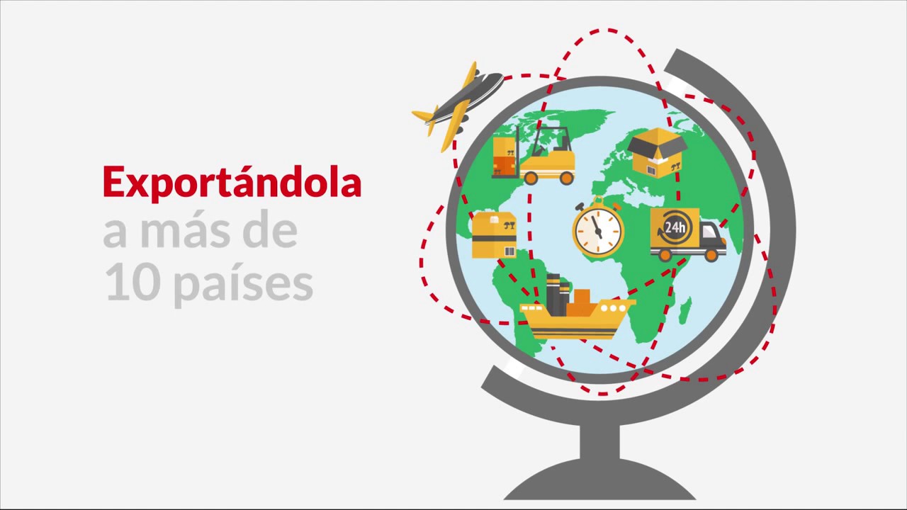 LINSEG video institucional - YouTube