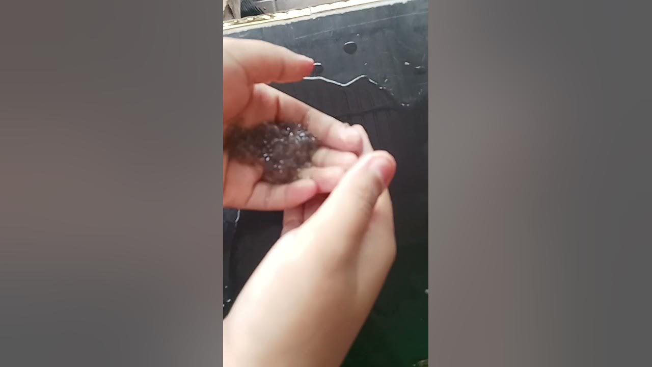 water slime nya kebanyakan water😭 - YouTube
