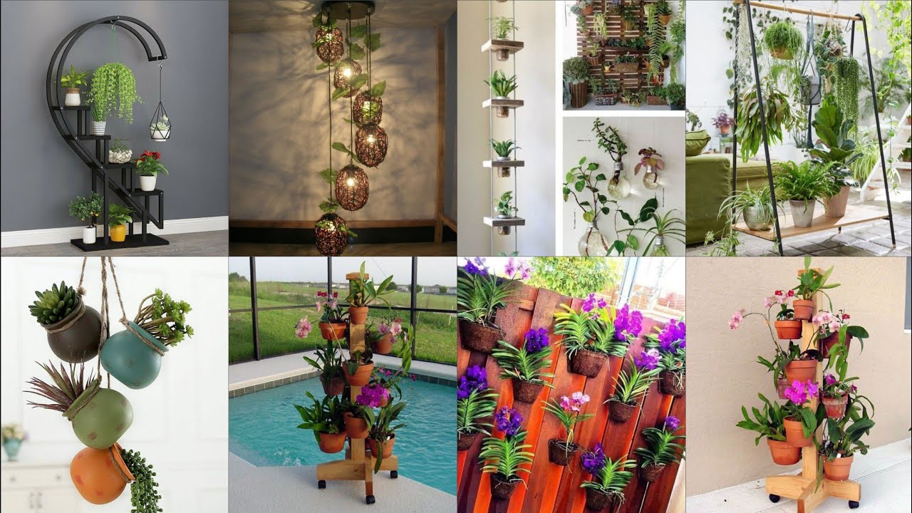 top beautiful and amazing plants stands ideas//plant ideas for homes ...