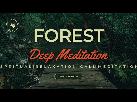 Meditation Guided | Pura Rasa | Spiritual Meditation | Rasa Meditation ...